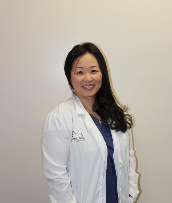 Sherry Hong DVM | Montrose Pet Hospital
